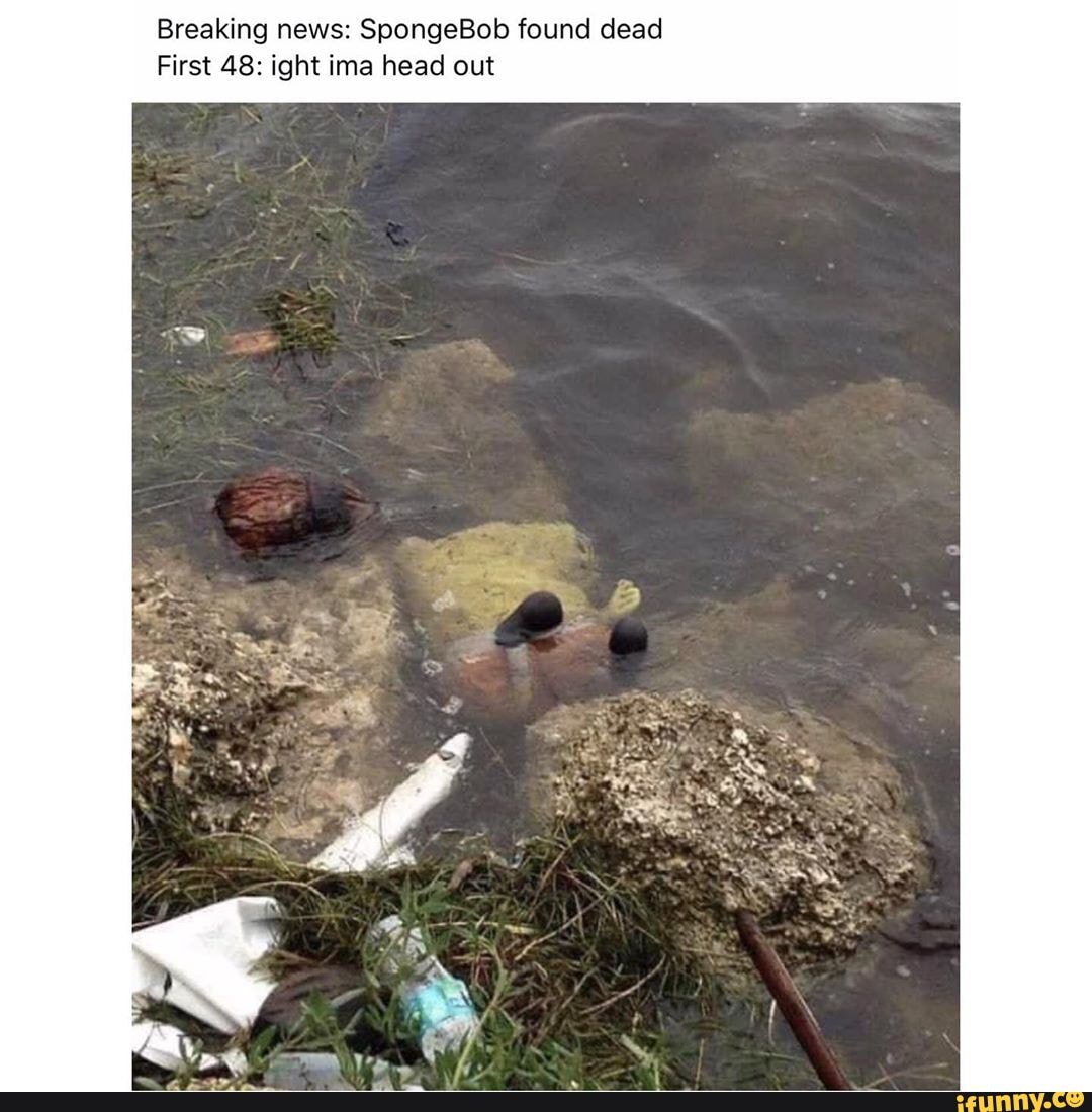 Breaking news: SpongeBob found dead First 48: ight ima head out - iFunny
