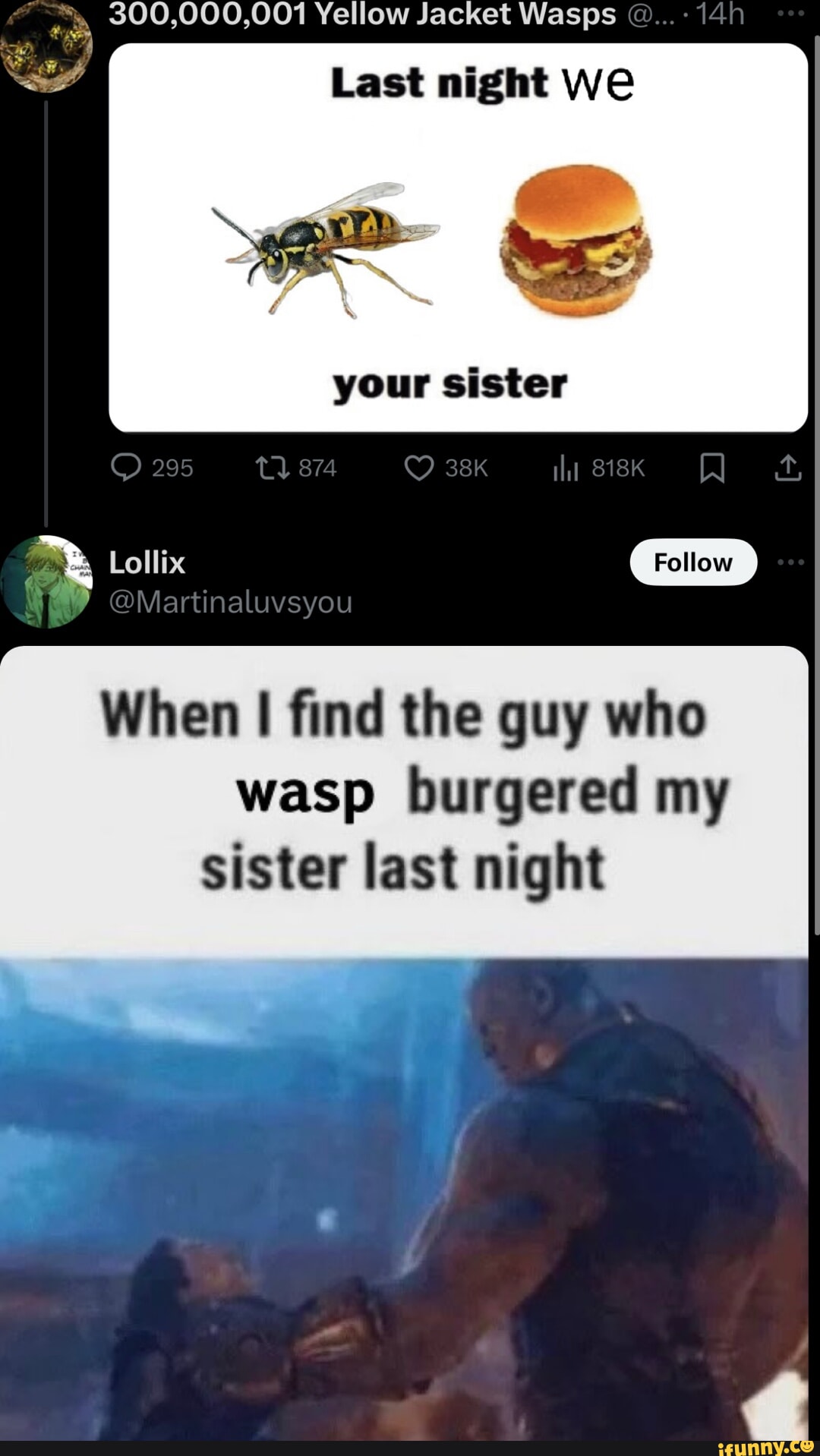 300,000,001 Yellow Jacket Wasps Last night We your sister Follow 295 ...