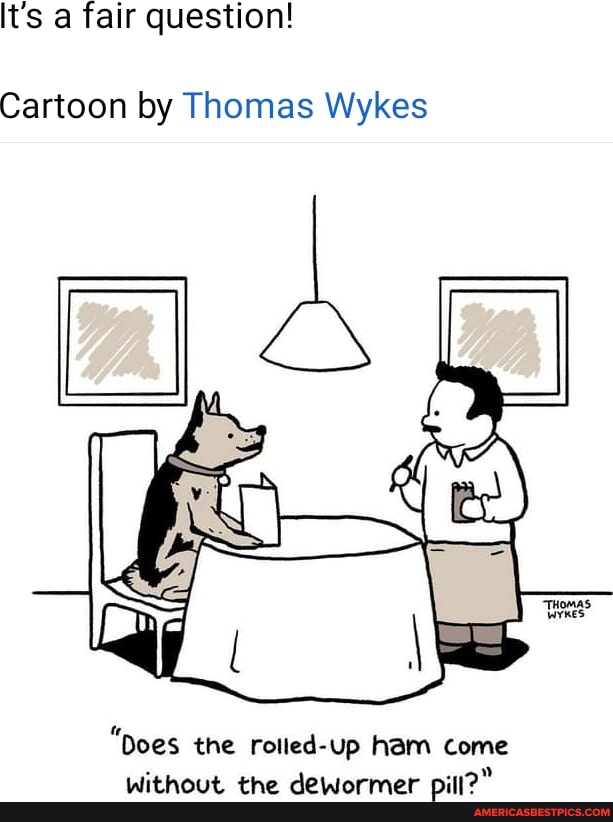 It's a fair question! Cartoon by Thomas Wykes "Does the rolled-up ham ...