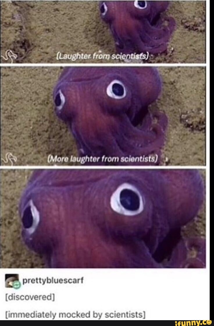 Mocked memes. Best Collection of funny Mocked pictures on iFunny