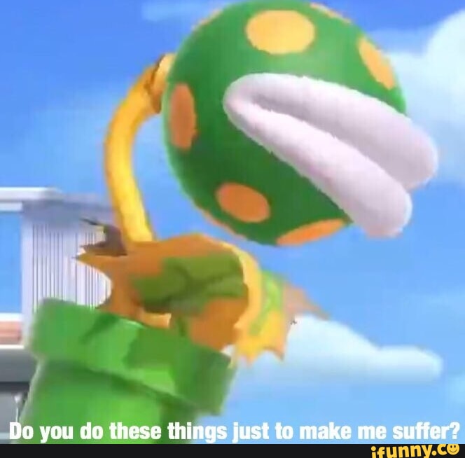 Do you do these things just to make me suffer? - iFunny