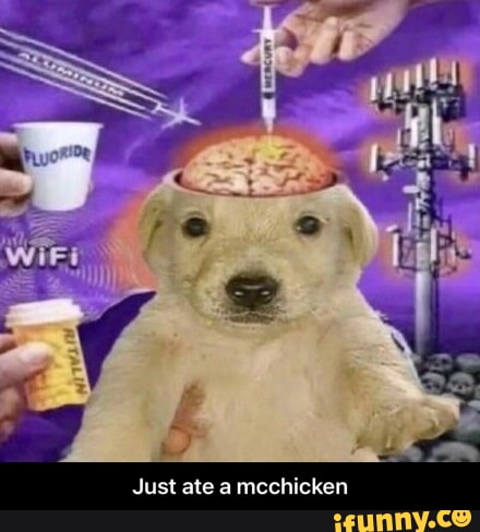 Mcchicken memes. Best Collection of funny Mcchicken pictures on iFunny