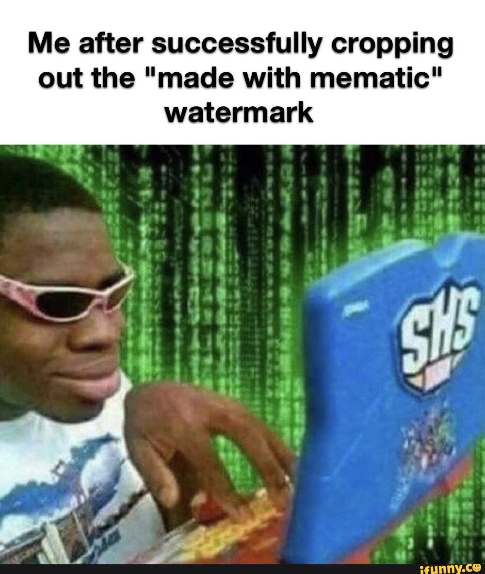 Me after successfully cropping out the "made with mematic" watermark ...