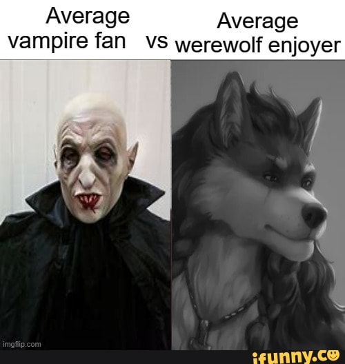 Average Average vampire fan VS werewolf enjoyer - iFunny