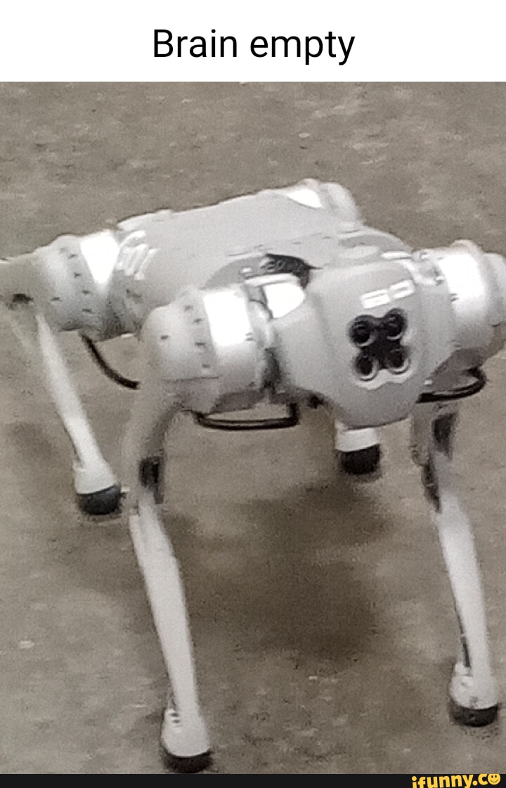 Brain empty - iFunny