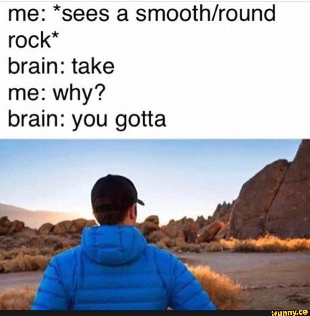 Me: *sees a rock* brain: take me: why? brain: you gotta - iFunny