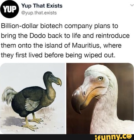 Mauritius memes. Best Collection of funny Mauritius pictures on iFunny