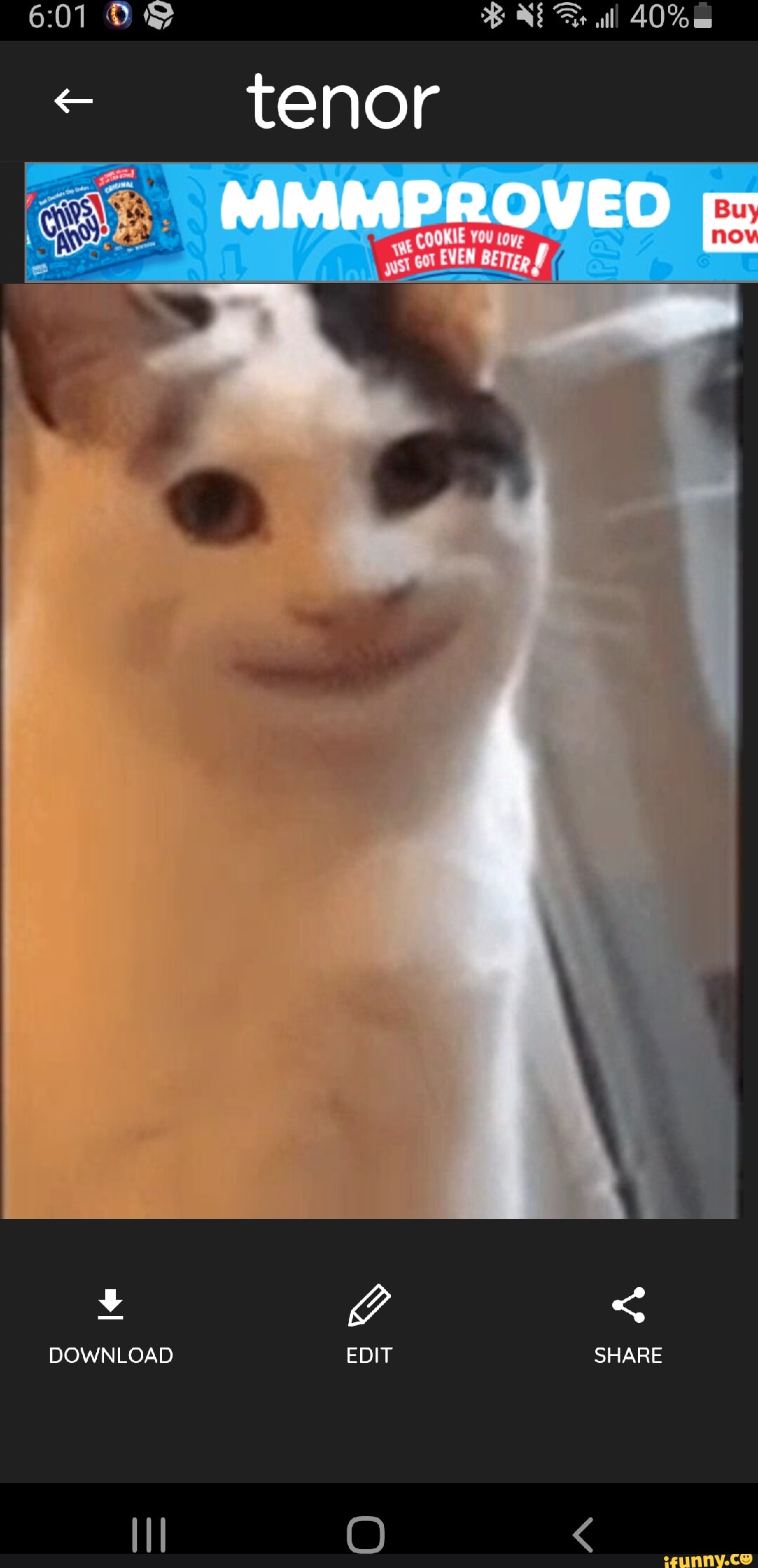 Tenor memes. Best Collection of funny Tenor pictures on iFunny