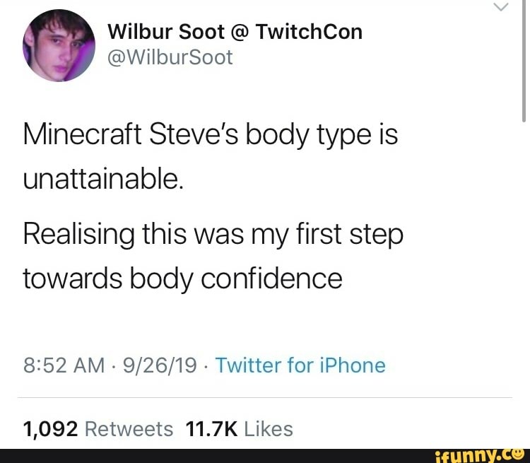 Wilbur Soot @ TwitchCon @WilburSoot Minecraft Steve’s body type is ...