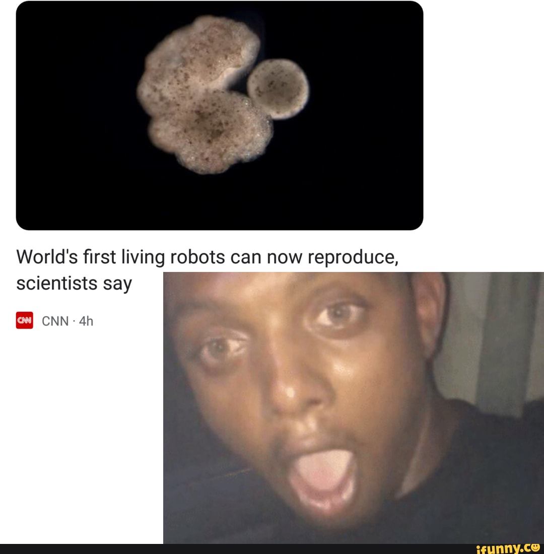 World's first living robots can now reproduce, scientists say cnn - iFunny