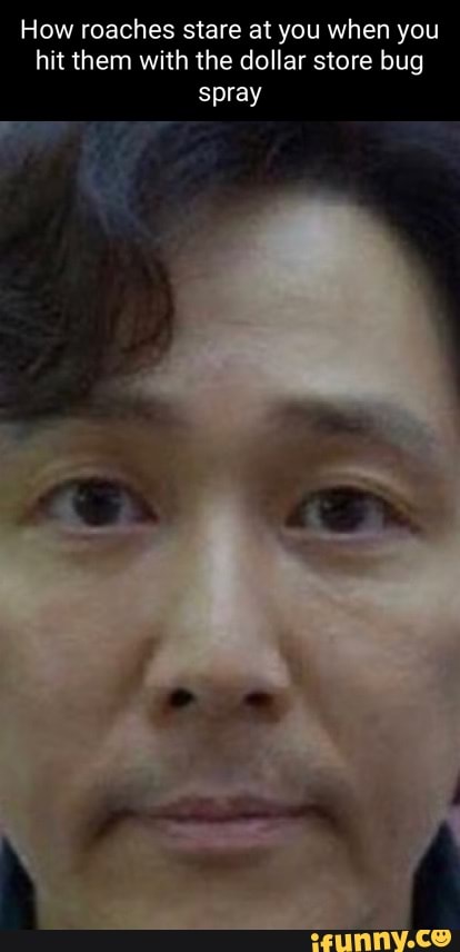 How roaches stare at you when you hit them with the dollar store bug ...