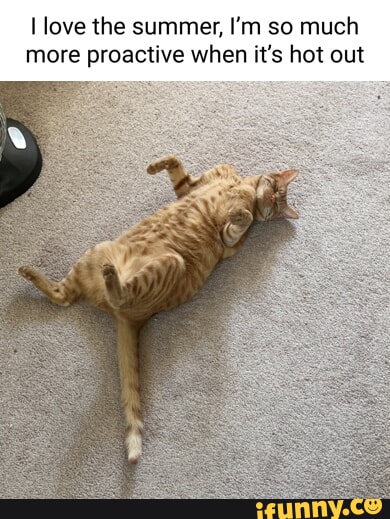 Proactive memes. Best Collection of funny Proactive pictures on iFunny