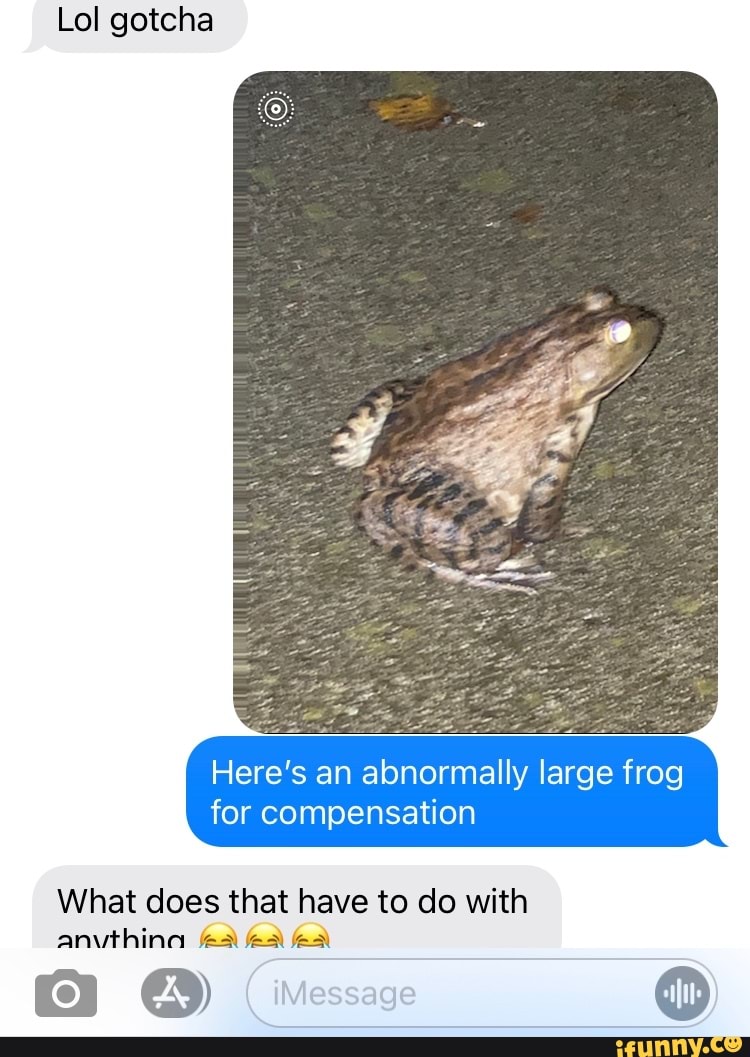 Lol gotcha Here's an abnormally large frog for compensation What does ...