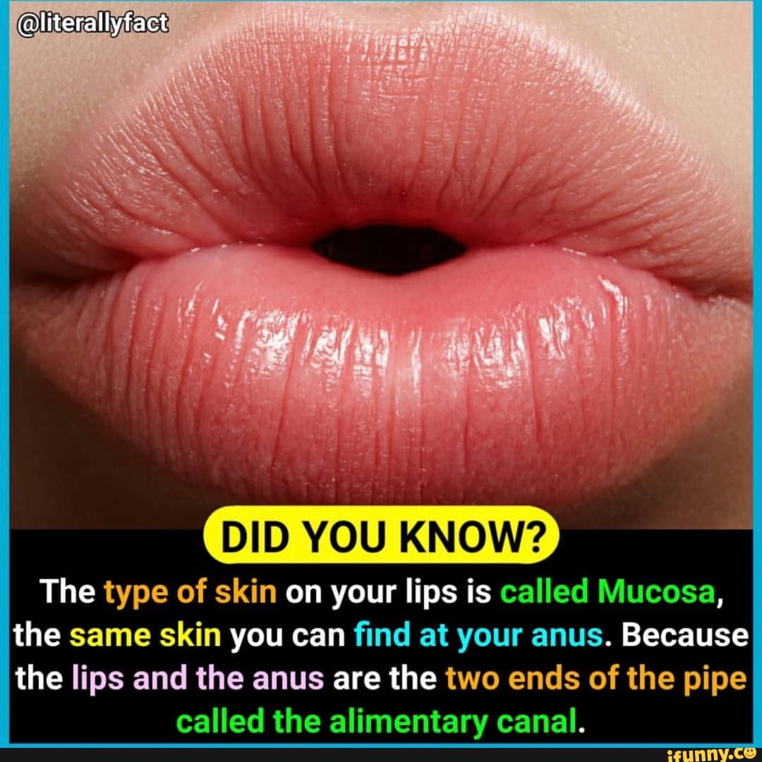 Lip Snot Memes