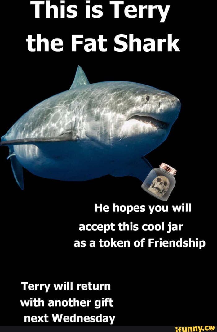 Hess late, I know - This is Terry the Fat Shark He hopes you will ...