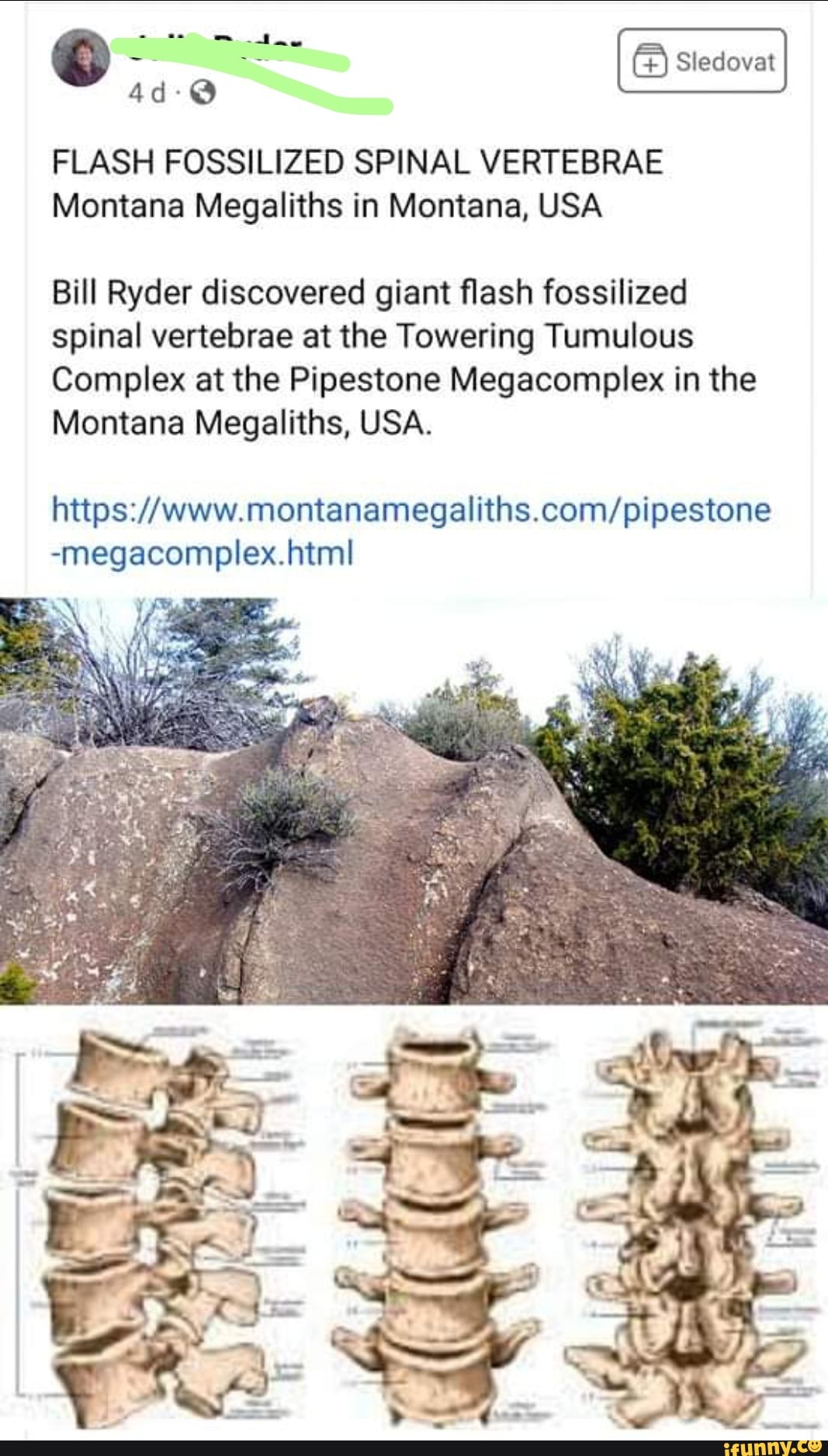 Sledovat FLASH FOSSILIZED SPINAL VERTEBRAE Montana Megaliths in Montana ...