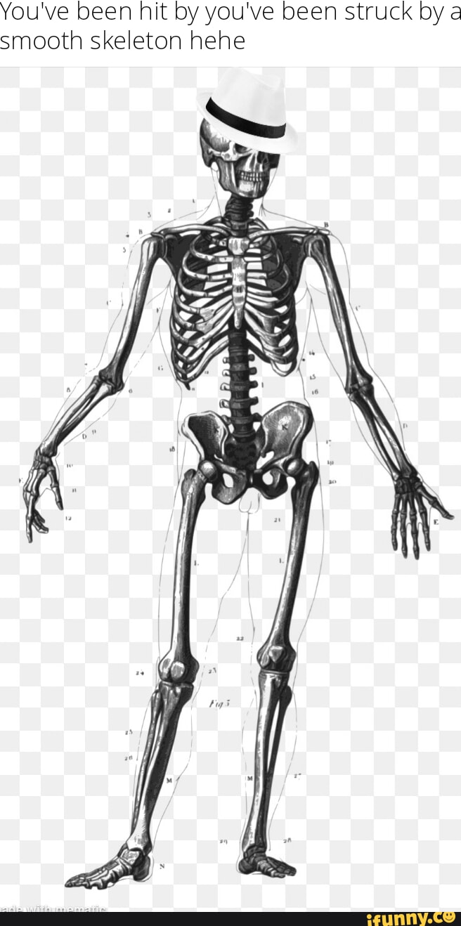 Skelejackson memes. Best Collection of funny Skelejackson pictures on ...