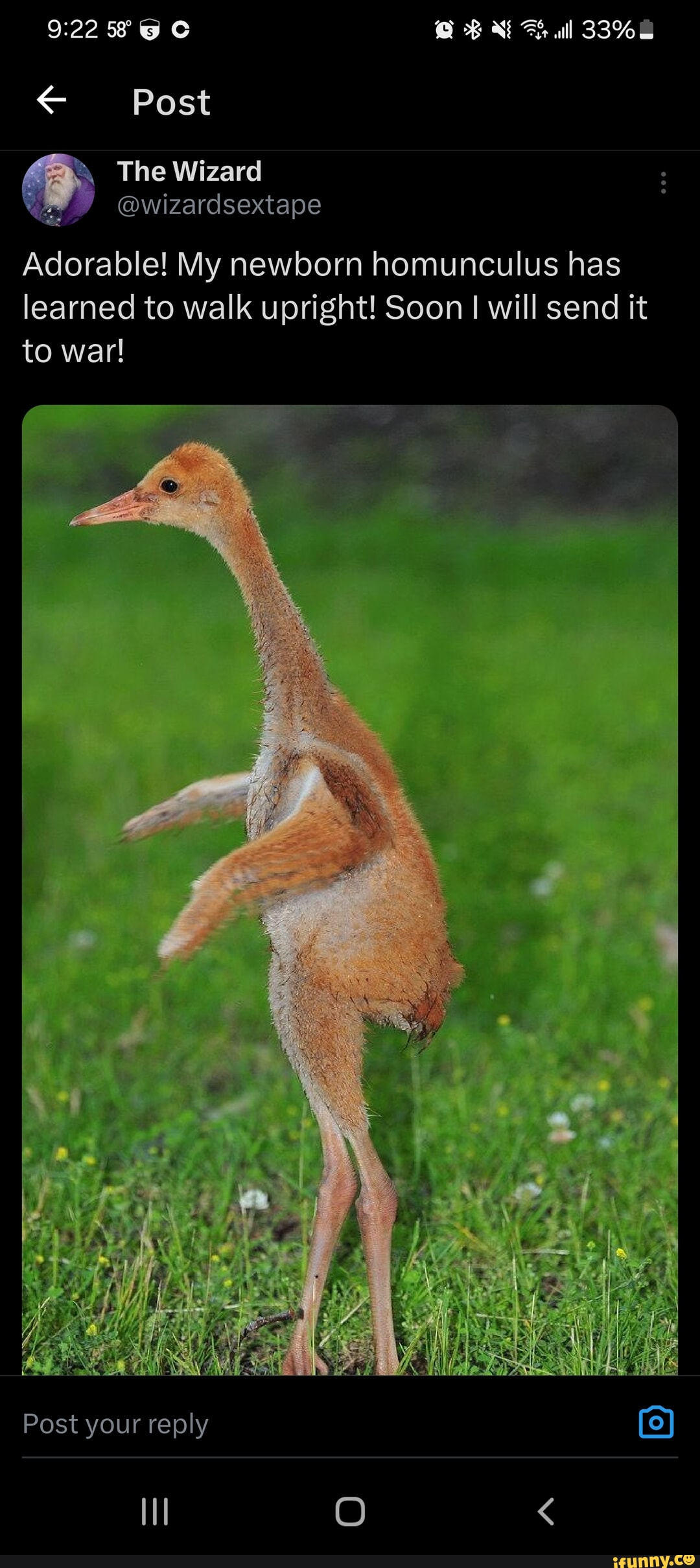 Homunculus memes. Best Collection of funny Homunculus pictures on iFunny