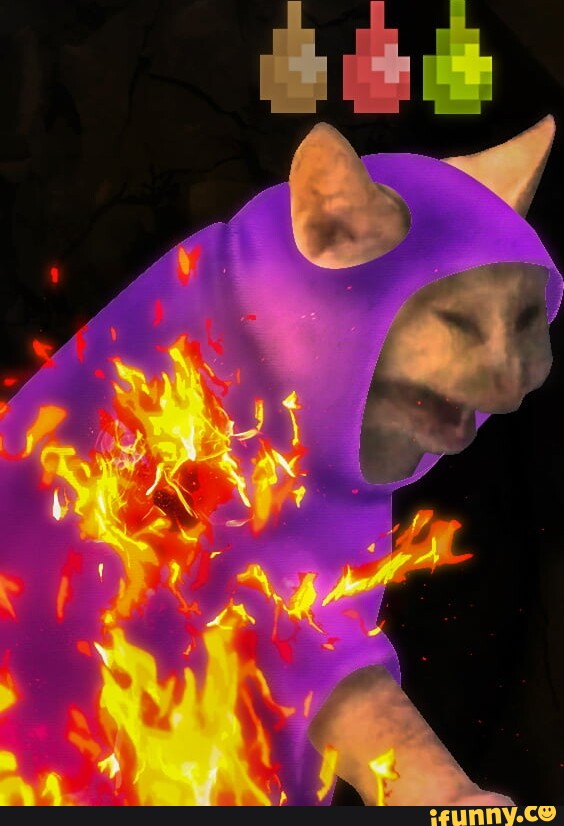 Noita memes. Best Collection of funny Noita pictures on iFunny