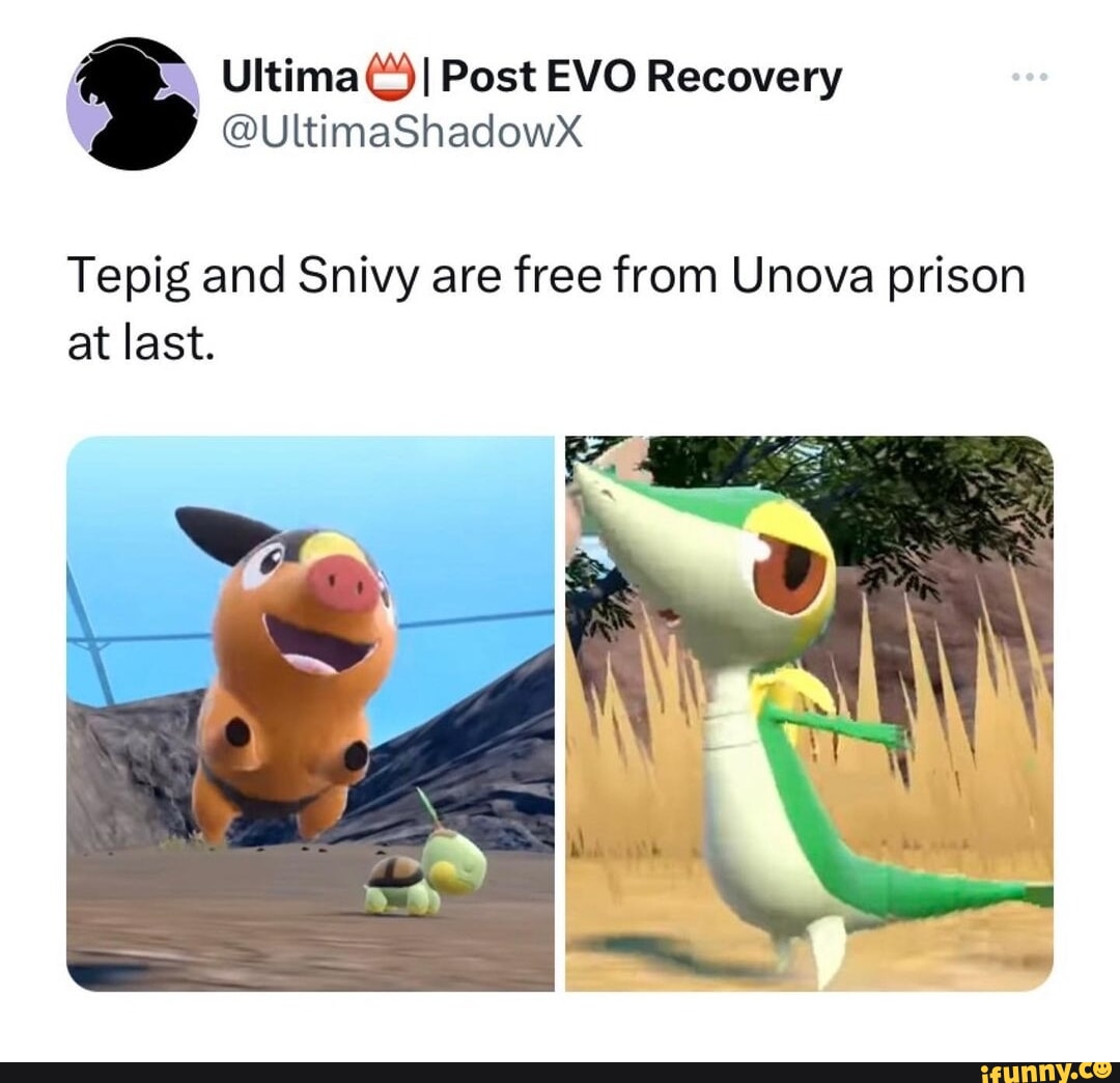 Snivy memes. Best Collection of funny Snivy pictures on iFunny