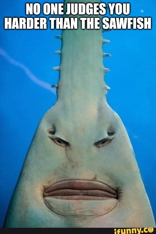 Sawfish memes. Best Collection of funny Sawfish pictures on iFunny