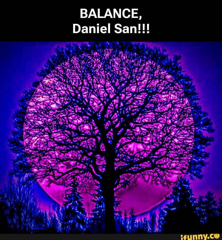 BALANCE Daniel San!! - iFunny