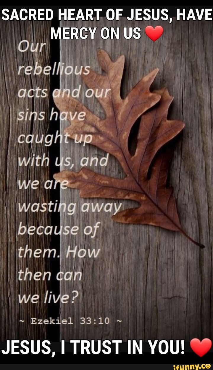 SACRED HEART, OF JESUS, HAVE I MERCY ONUS Our, I JOUS ing away then can ...