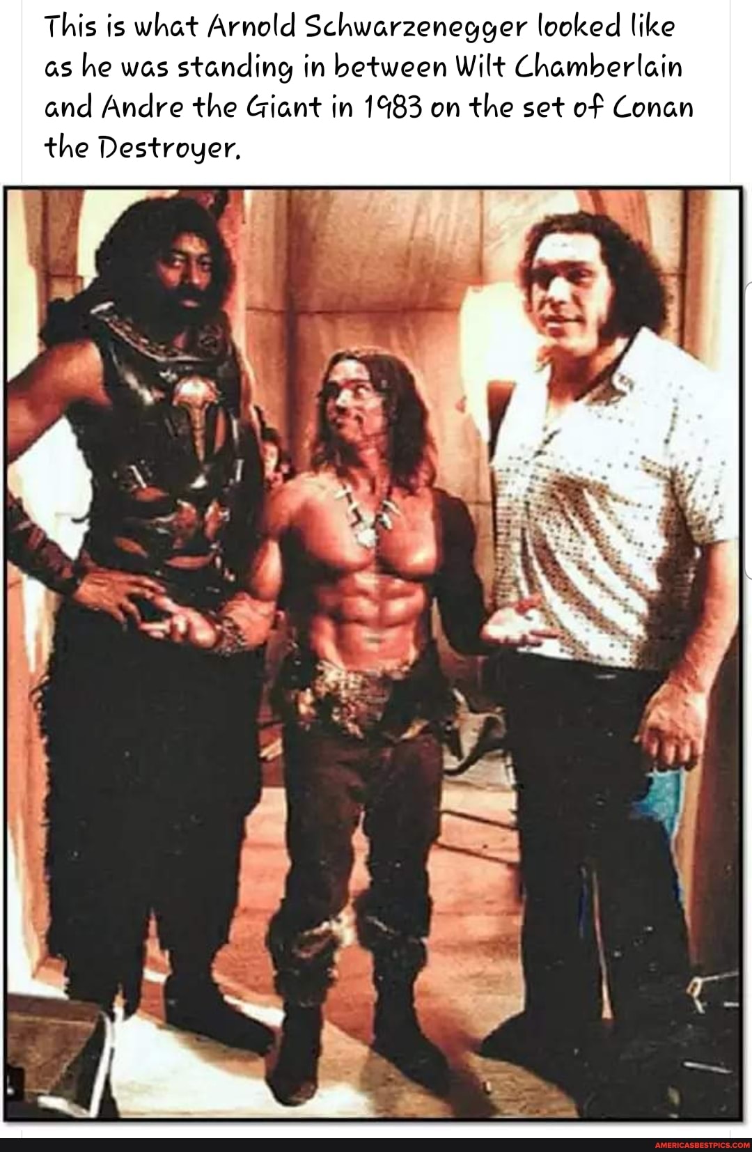 This is what Arnold Schwarzenegger looked like as he was standing in ...