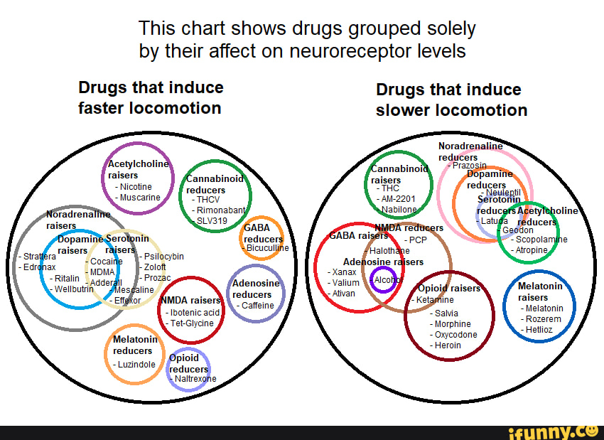 Drug chart showing drugs grouped solely by their affect on ...