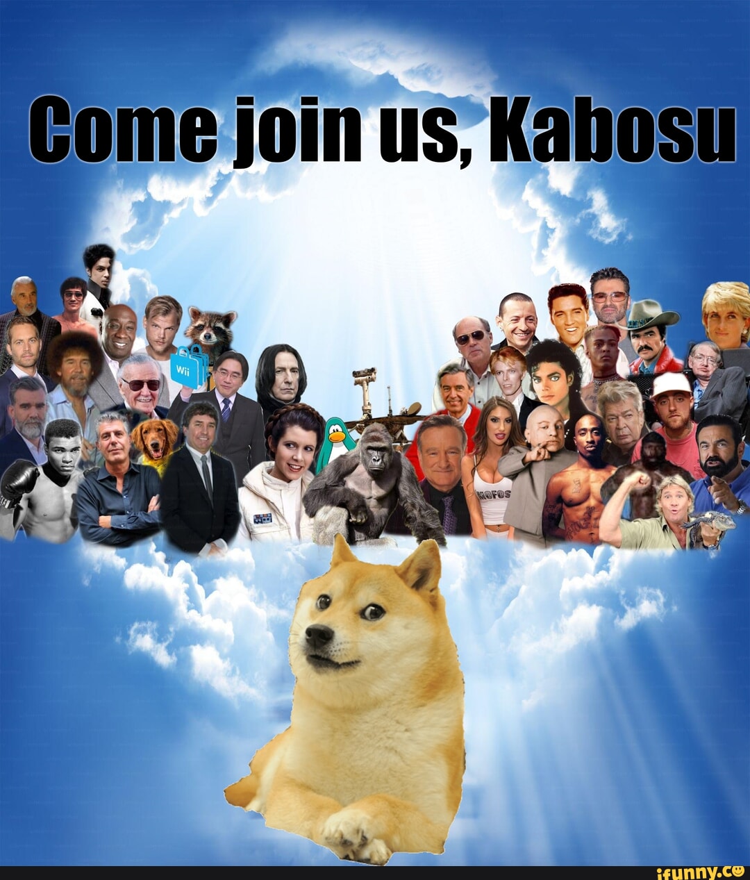 Cheems memes. Best Collection of funny Cheems pictures on iFunny