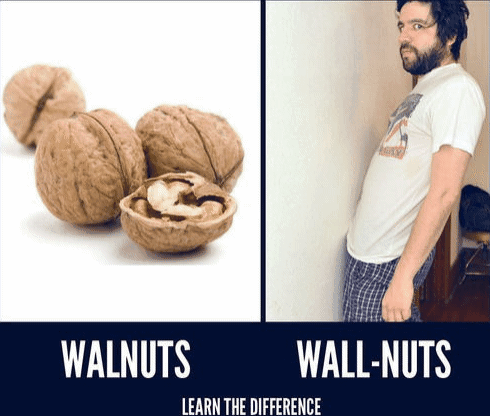 WALNUTS WALL-NUTS LEARN THE DIFFERENCE - America’s best pics and videos