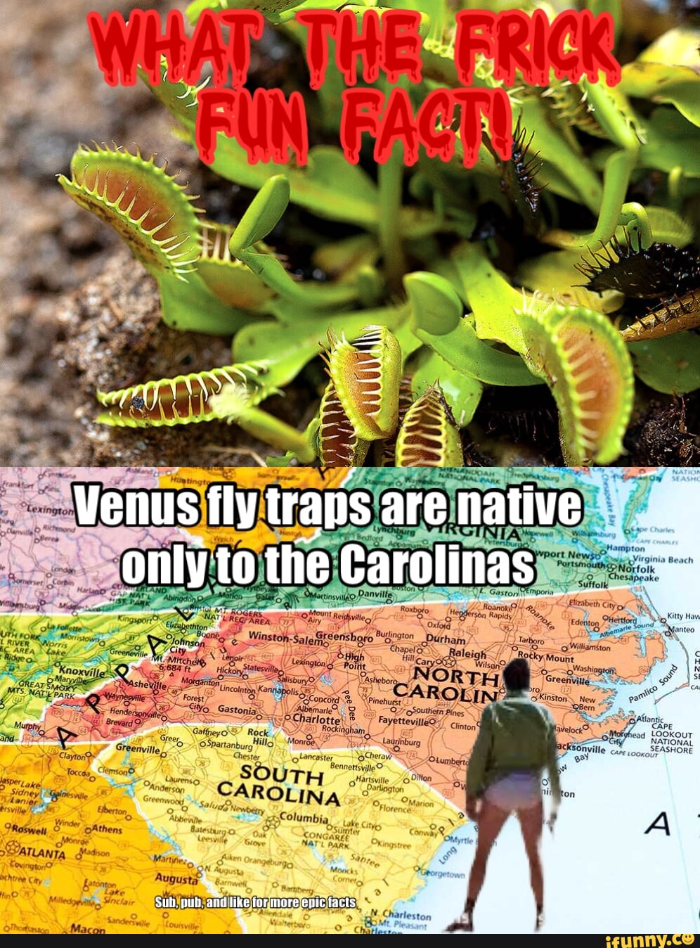 Lancaster memes. Best Collection of funny Lancaster pictures on iFunny