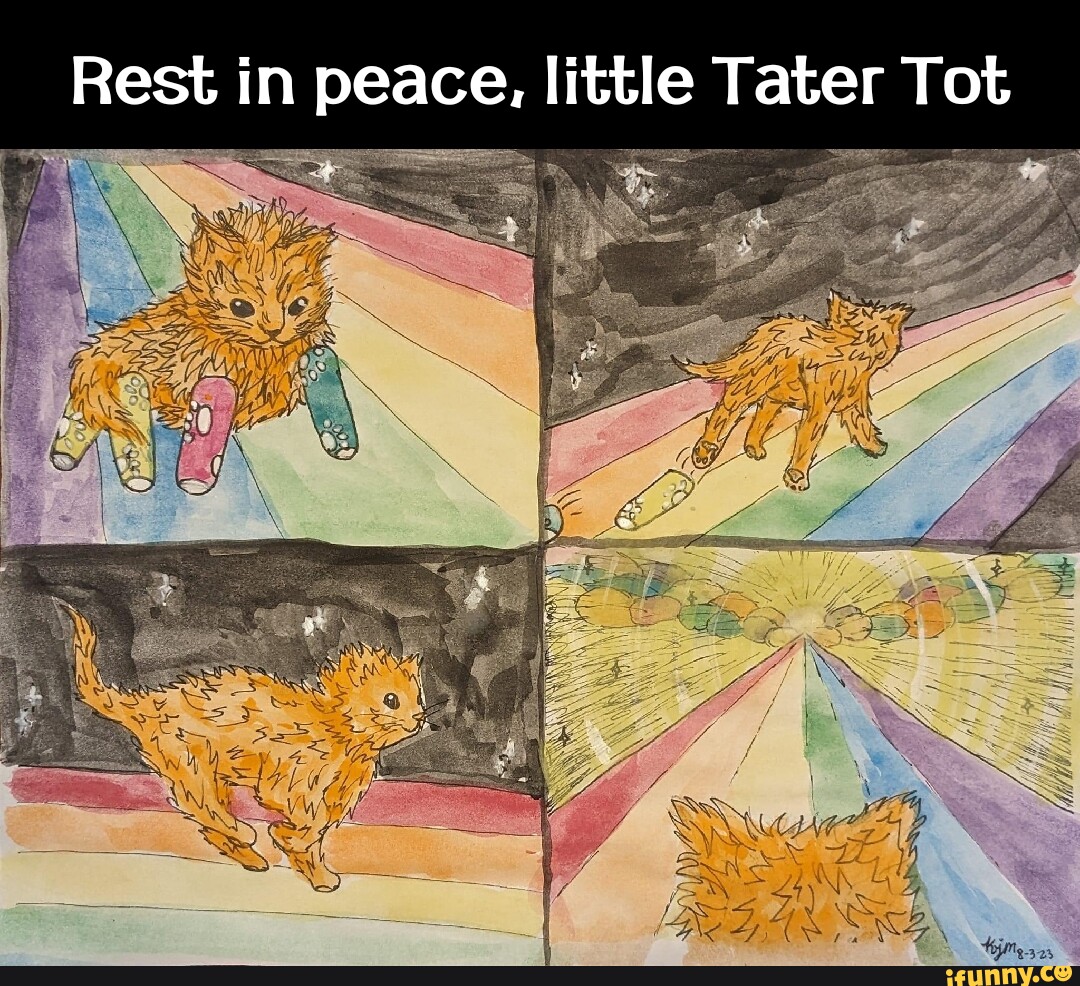 ULTIMATE HOT DOG STYLE GUIDE NEW YORK SEATTLE SONORA Hot dog in bun ...