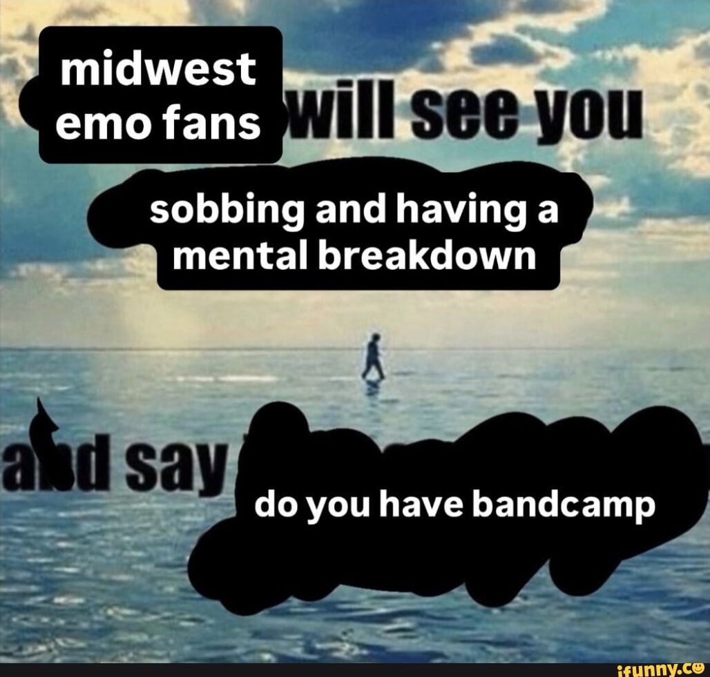 Emo fans ill see you sobbing and having a mental breakdown do you have ...