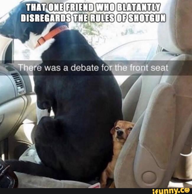 Ey buddy. you have to be quiet because people dont like you I - iFunny