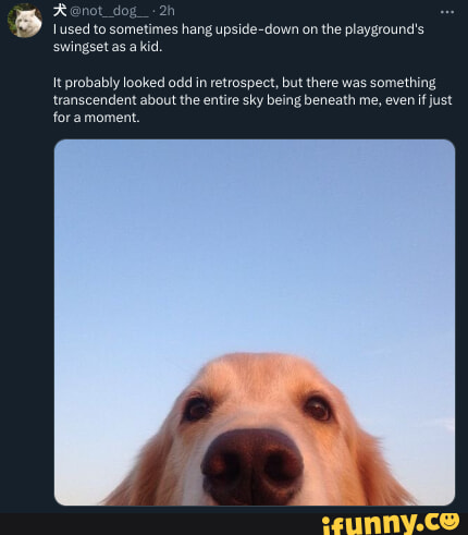 Swingset memes. Best Collection of funny Swingset pictures on iFunny