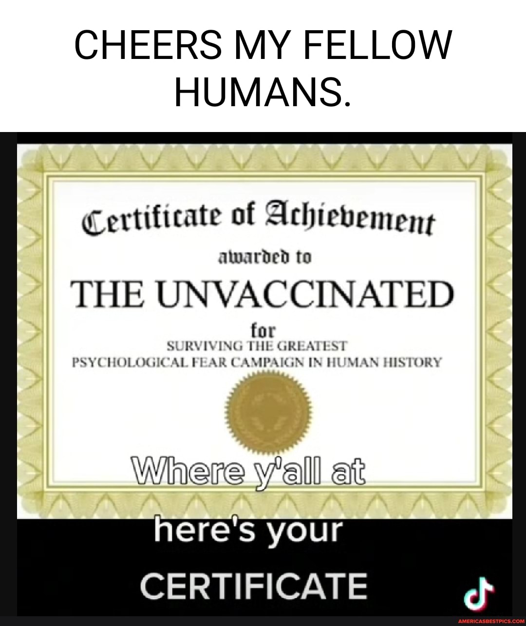 CHEERS MY FELLOW HUMANS. Certificate of Achievemens awarded to THE ON ...
