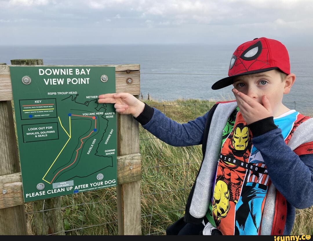 Rspb memes. Best Collection of funny Rspb pictures on iFunny