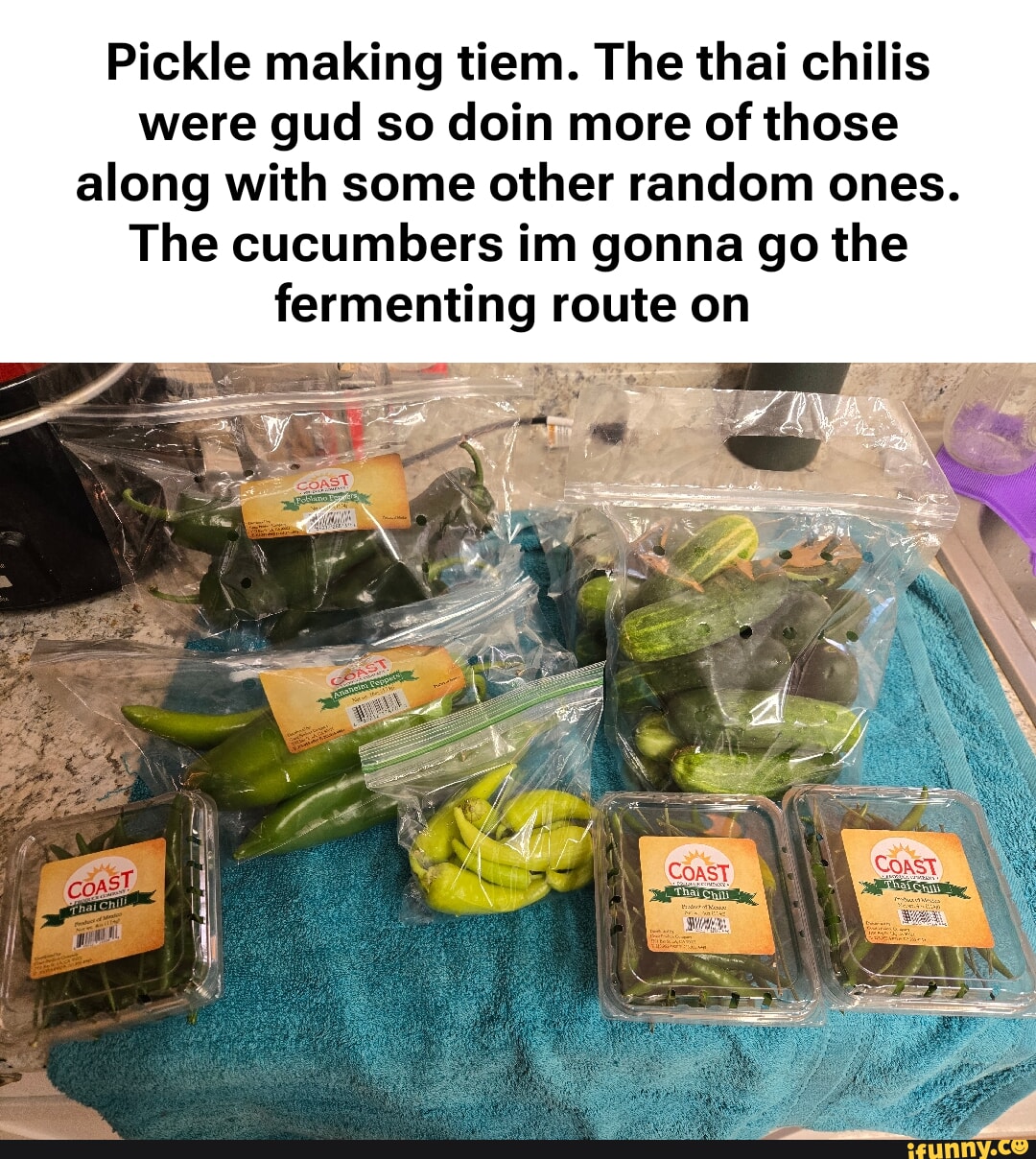 Pickle making tiem. The thai chilis were gud so doin more of those ...