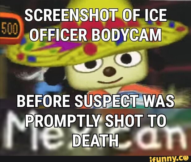 SCREENSHOT OF ICE OFFICER BODYCAM GO BEFORE SUSPECT WAS PROMPTLY SHOT ...