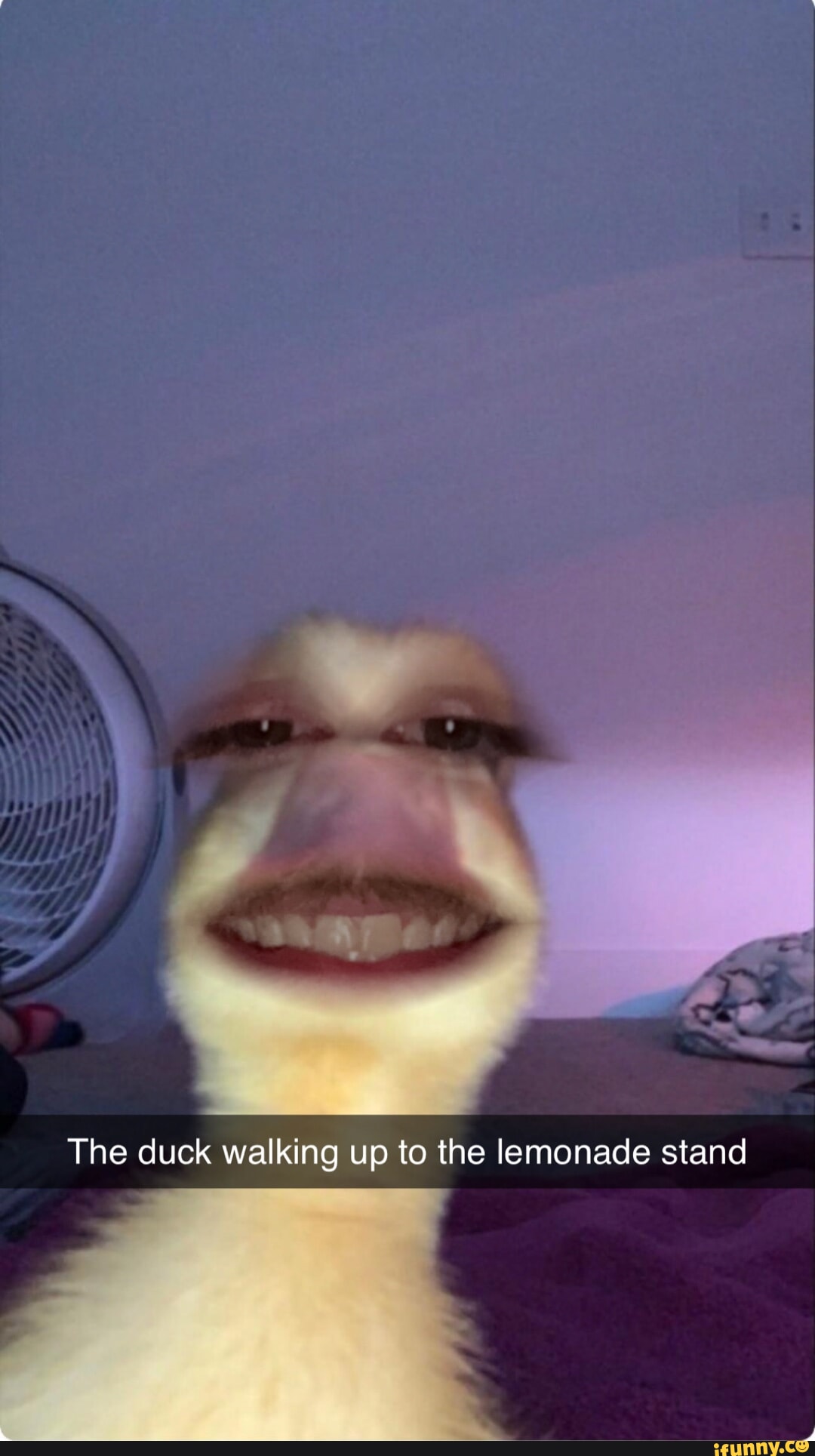 Lemonade memes. Best Collection of funny Lemonade pictures on iFunny