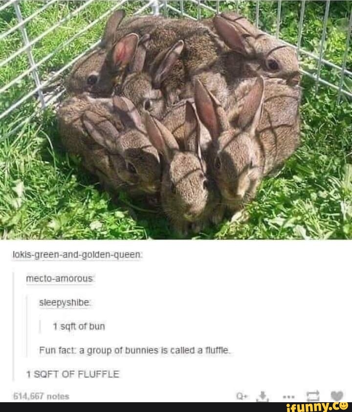 Amorous memes. Best Collection of funny Amorous pictures on iFunny