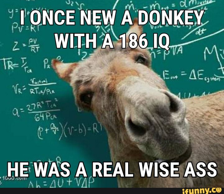 Donkey Ass Meme
