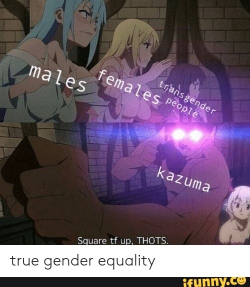 Les Square tf up, THOTS. true gender equality - iFunny