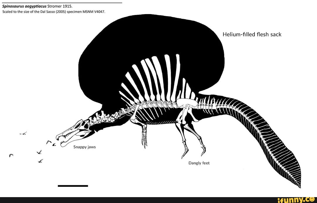 Spinosaurus aegyptiacus Stromer 1915. Scaled to the size of the Dal ...