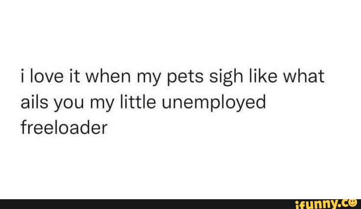 Freeloader memes. Best Collection of funny Freeloader pictures on iFunny