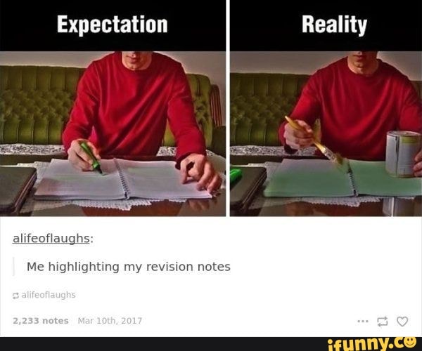 Expectation Reality alifeoflaughs: Me highlighting my revision notes ...