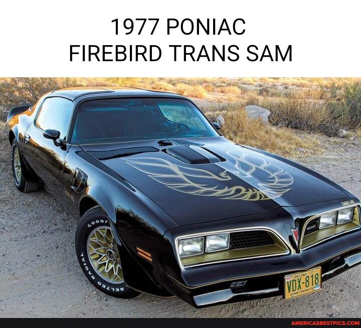 1977 PONIAC FIREBIRD TRANS SAM - America’s best pics and videos