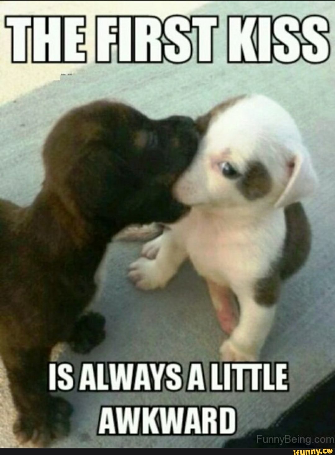 Embarassing memes memes. The best memes on iFunny