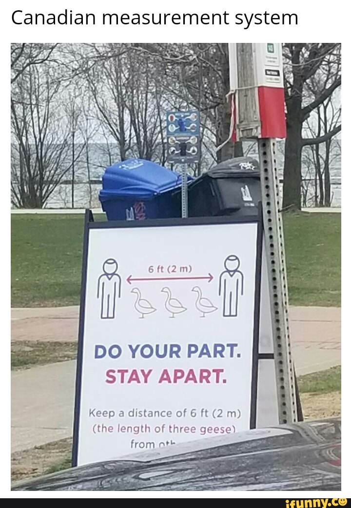 Canadian measurement system (the length of three geese) Lice Males - iFunny